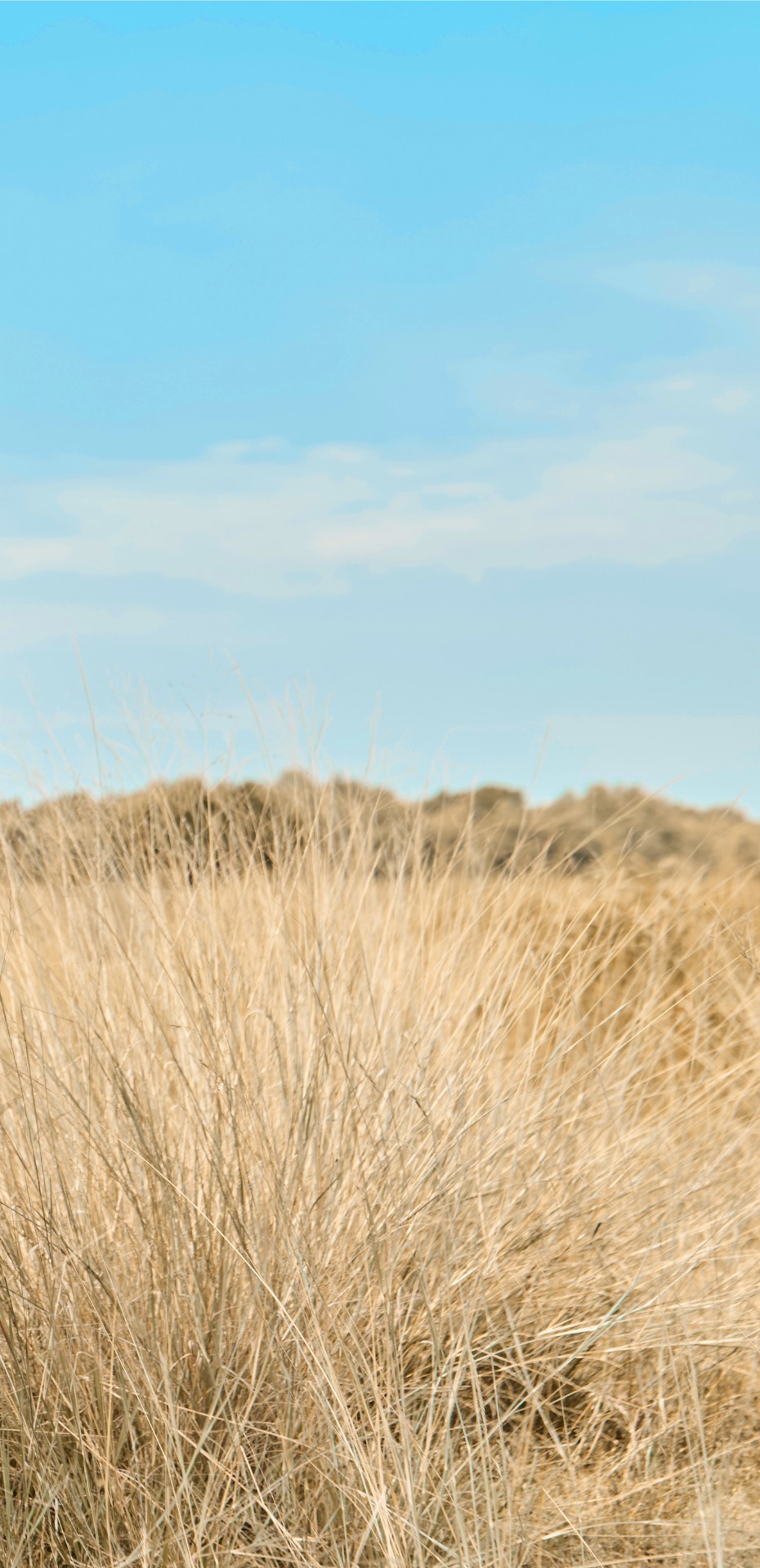 Rico Rinaldi for Mis Claire Raya 2022